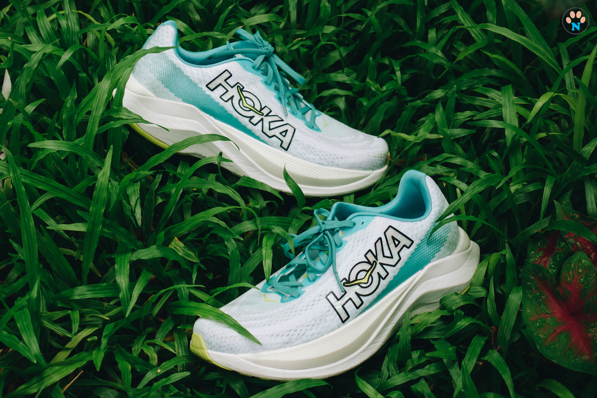 Mach X โฟม Peba หนาแน่น แต่ไม่นุ่มเท่าไหร่