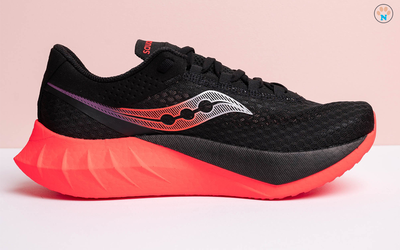 Endorphin Pro 4 และ Endorphin Speed 4 เอาไงดี?