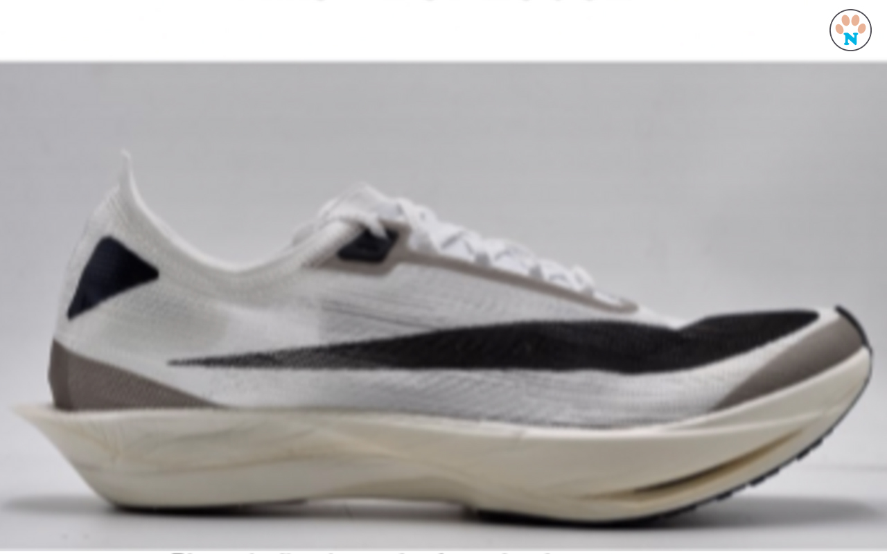 รองเท้าต้นแบบ Prototype Running Shoes 2024