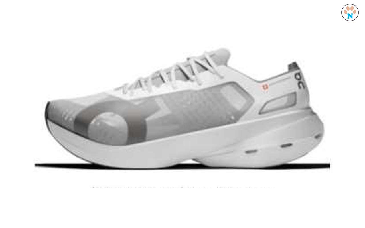 รองเท้าต้นแบบ Prototype Running Shoes 2024