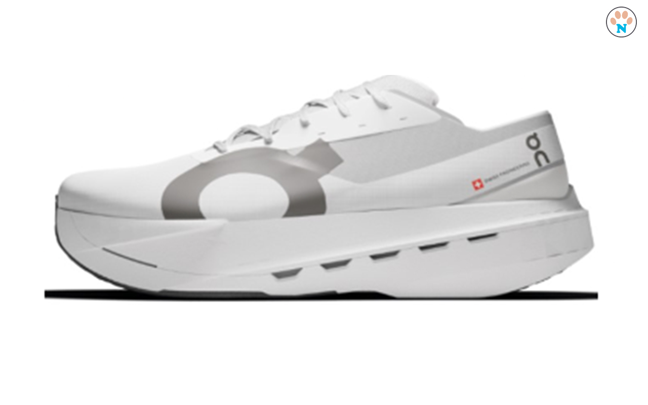 รองเท้าต้นแบบ Prototype Running Shoes 2024